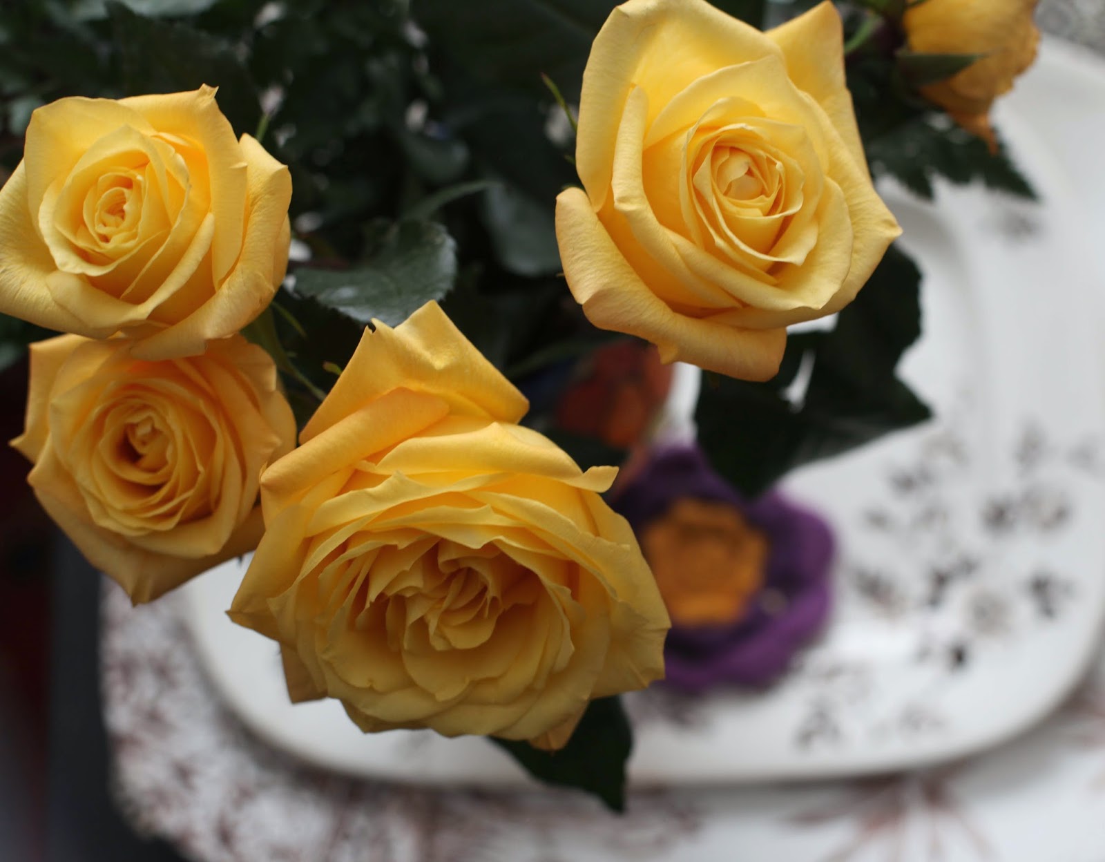 Getting Stitched on the Farm: The Deep Freeze Continues