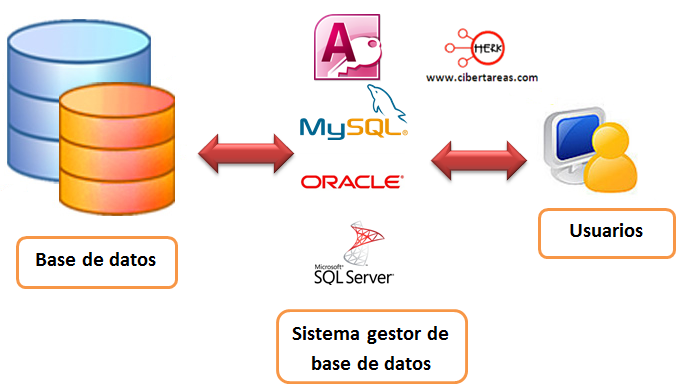 TIC: Base de datos