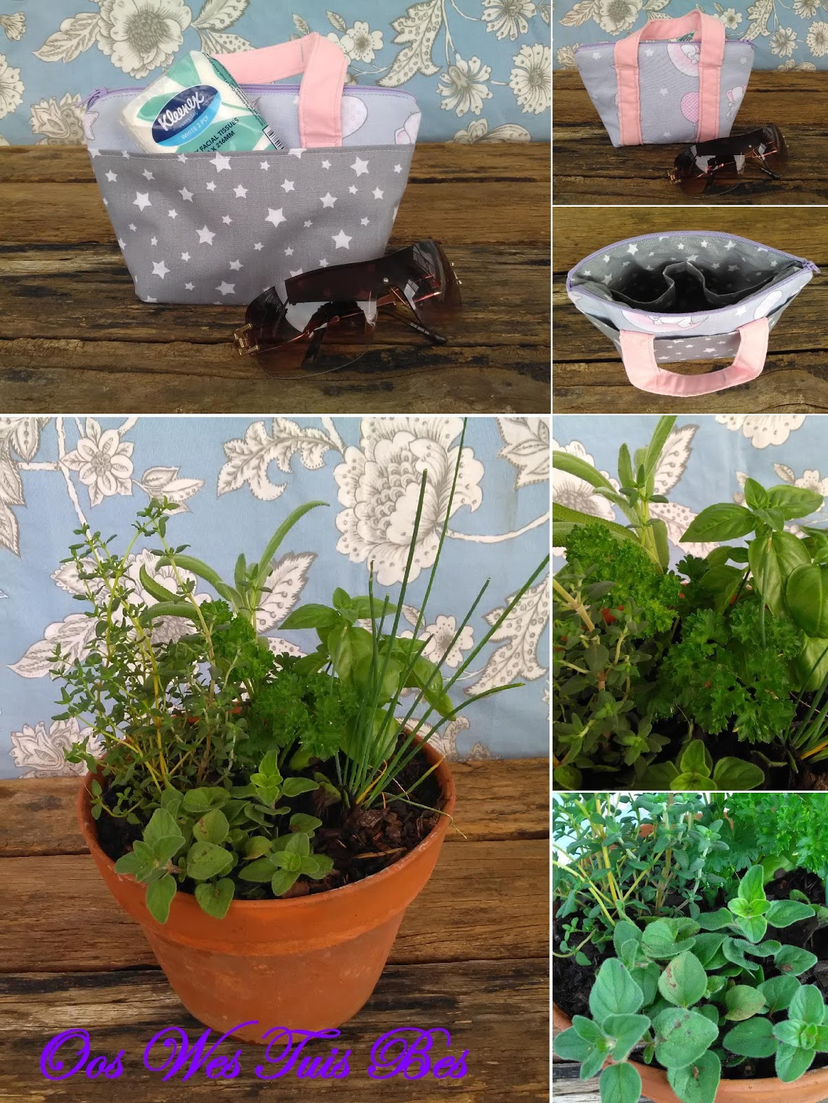 Oos Wes Tuis Bes: My Week in 'n Blompot...