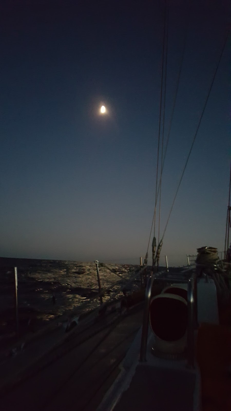 David Shoulder - Isle of Wight: 2017