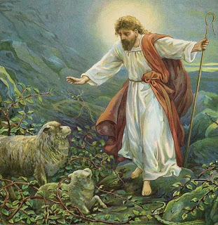 Apostolado Jesús Divina Misericordia San Jorge: "CUIDADO CON LOS LOBOS ...
