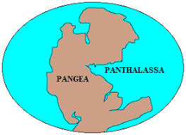 Noi Digitali Insieme: Pangea e Panthalassa