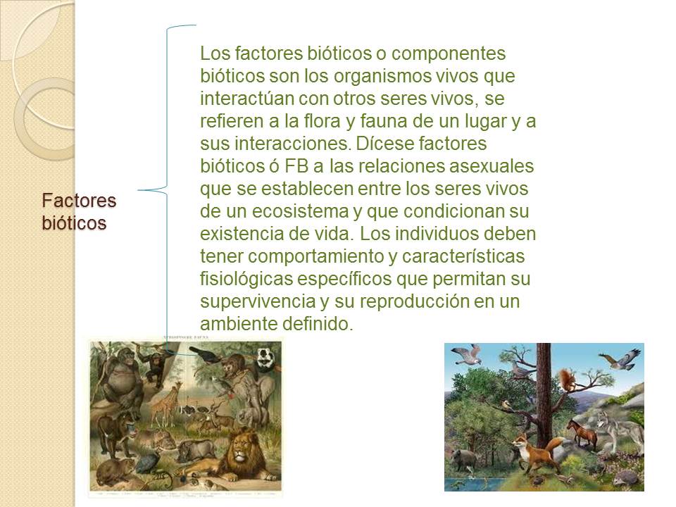 Ecologia: Factores del medio ambiente