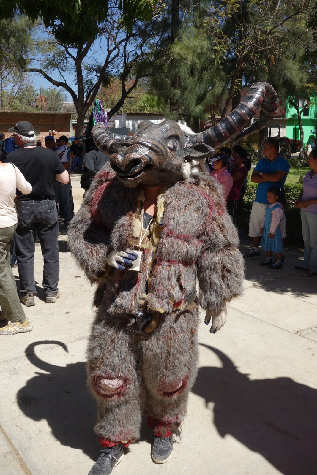 Hello from Oaxaca: Carnival 2013, San Martin Tilcajete