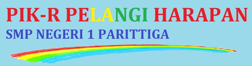 PIK REMAJA “PELANGI HARAPAN“ SMP NEGERI 1 PARITTIGA: Kegiatan Pembinaan ...
