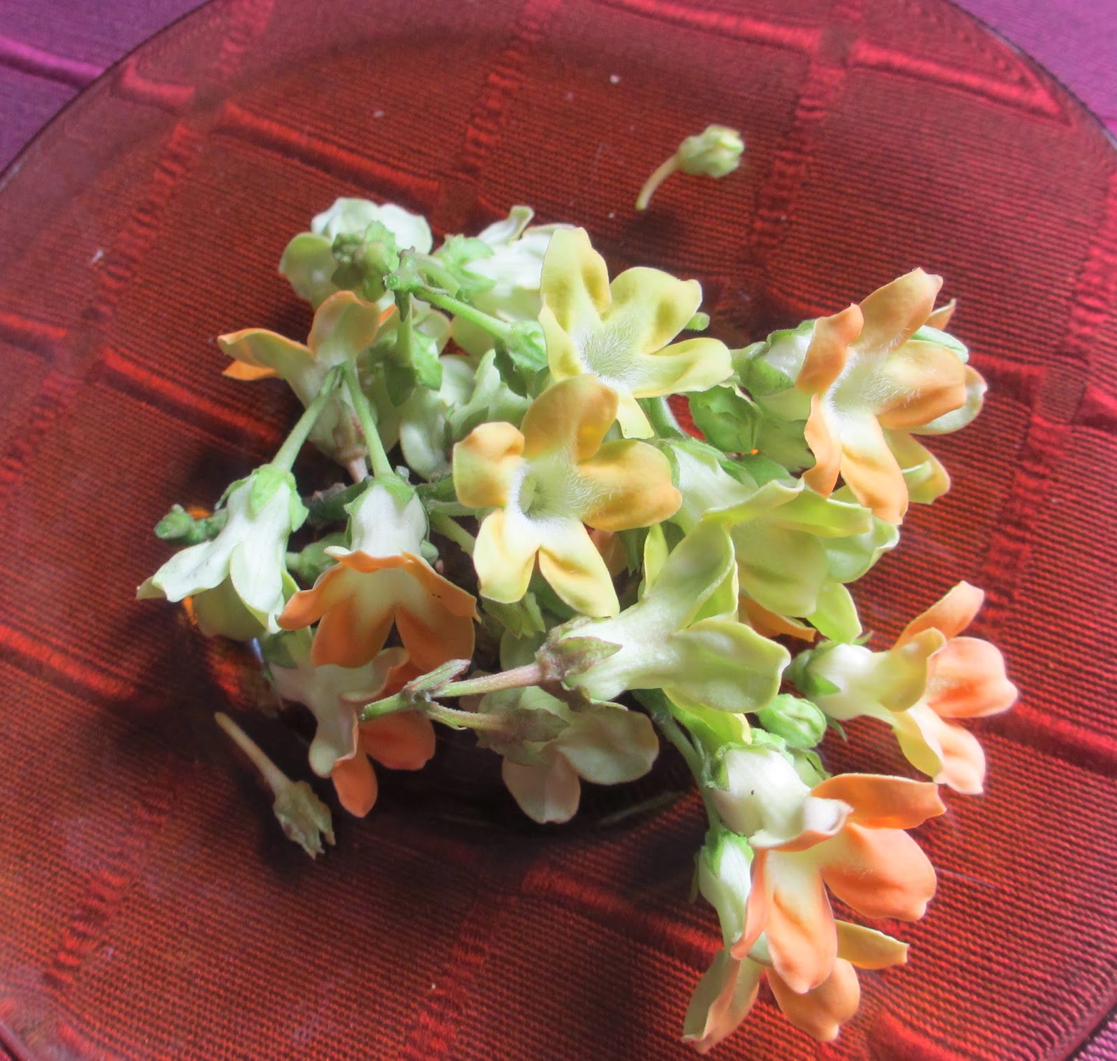 theperanakanconnection: Bunga tongkeng _flowers that perfume the night ...