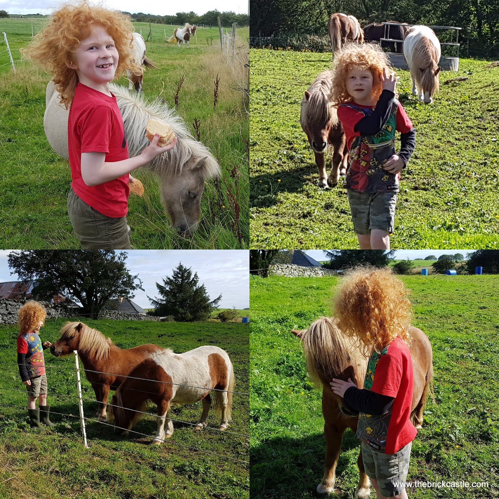 The Brick Castle: Our Summer Holiday Visit With The Shetland Ponies