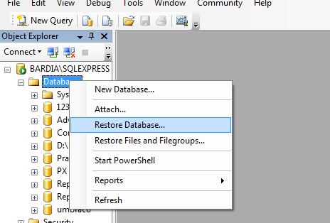 More for you: Creating a database from a .bak file