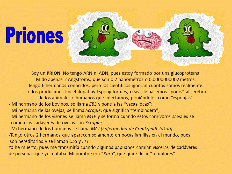 CONOCE LOS MICROBIOS: VIRUSOIDES, VIROIDES Y PRIONES
