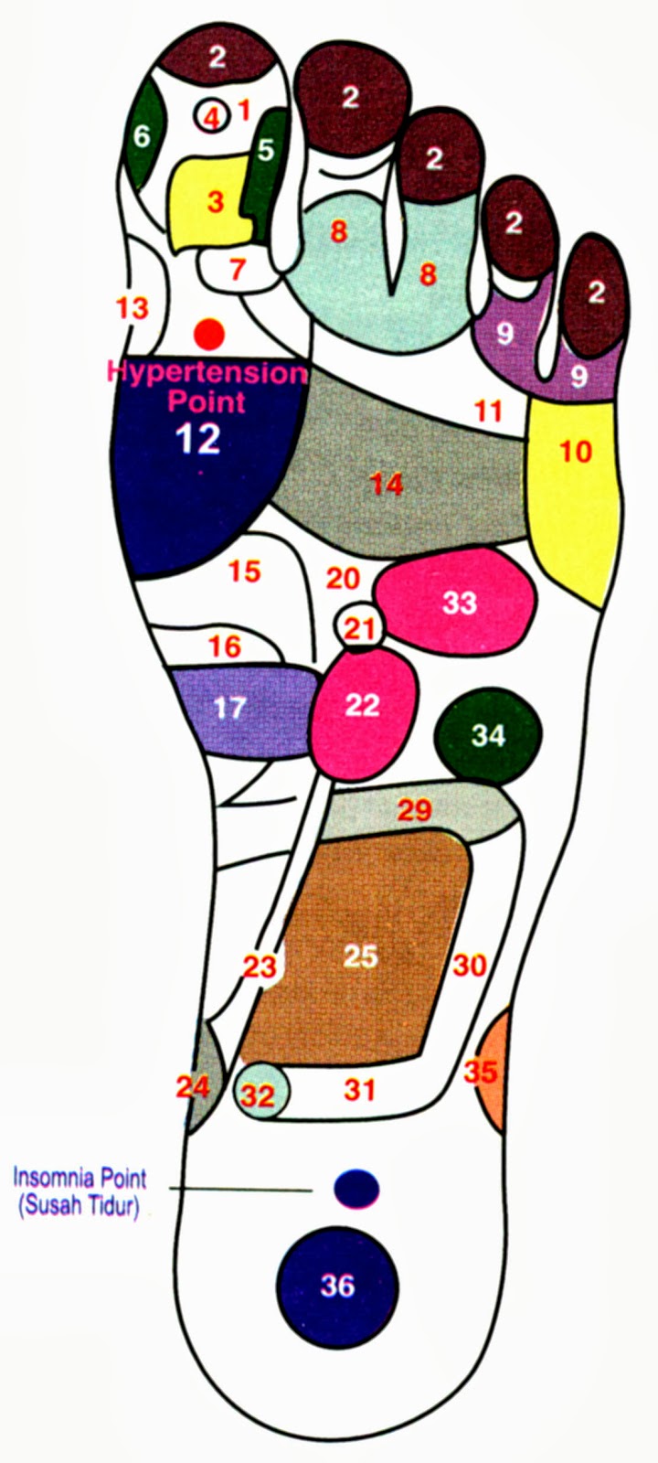 Gusti Arya Yunedi Share 4 All: Titik titik Refleksi