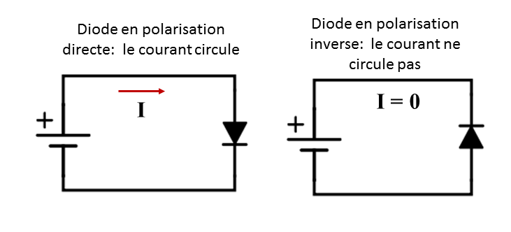 La fonction de la redressement