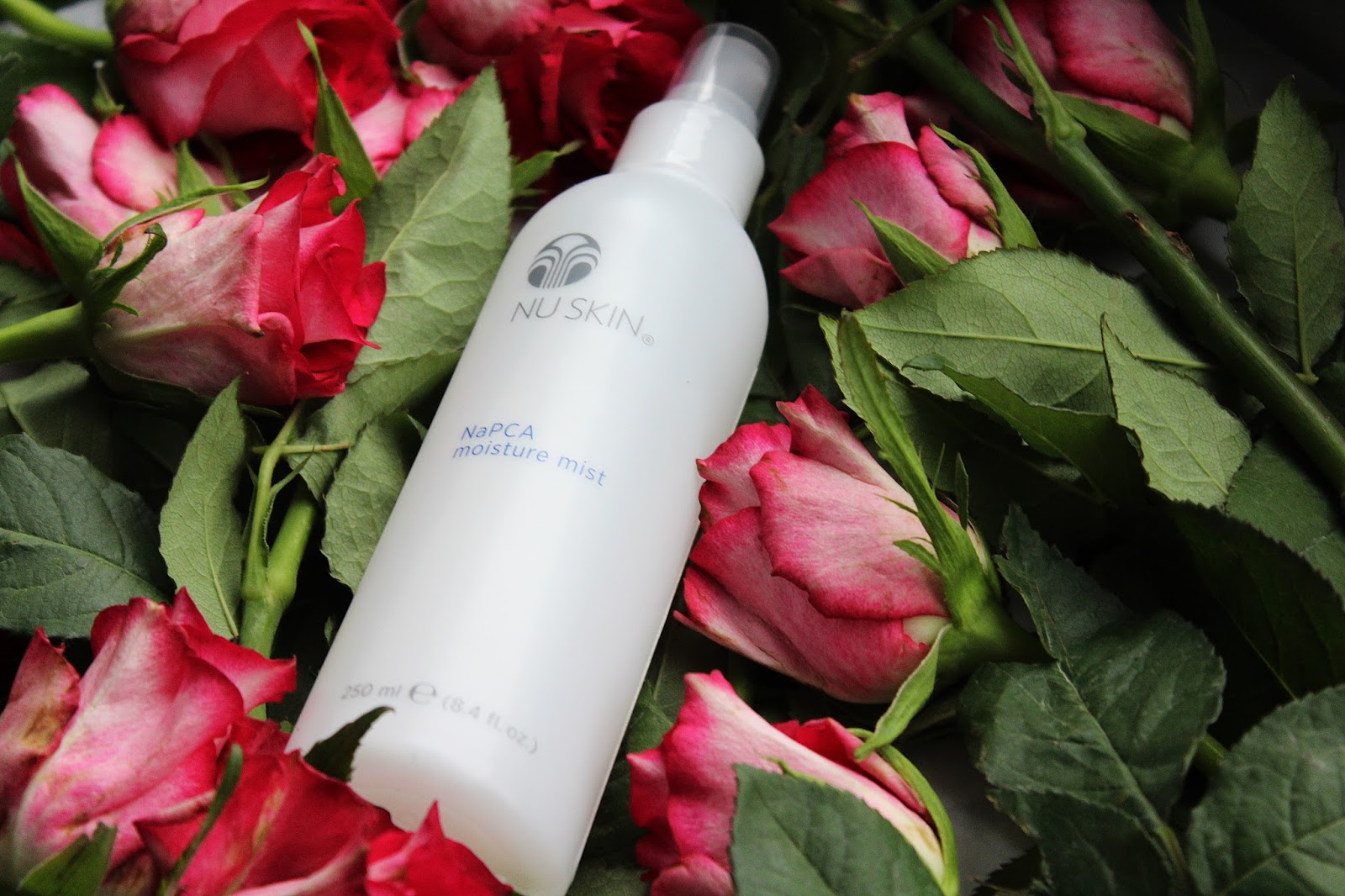 Colourette: Review - Nu Skin " NaPCA moisture mist"
