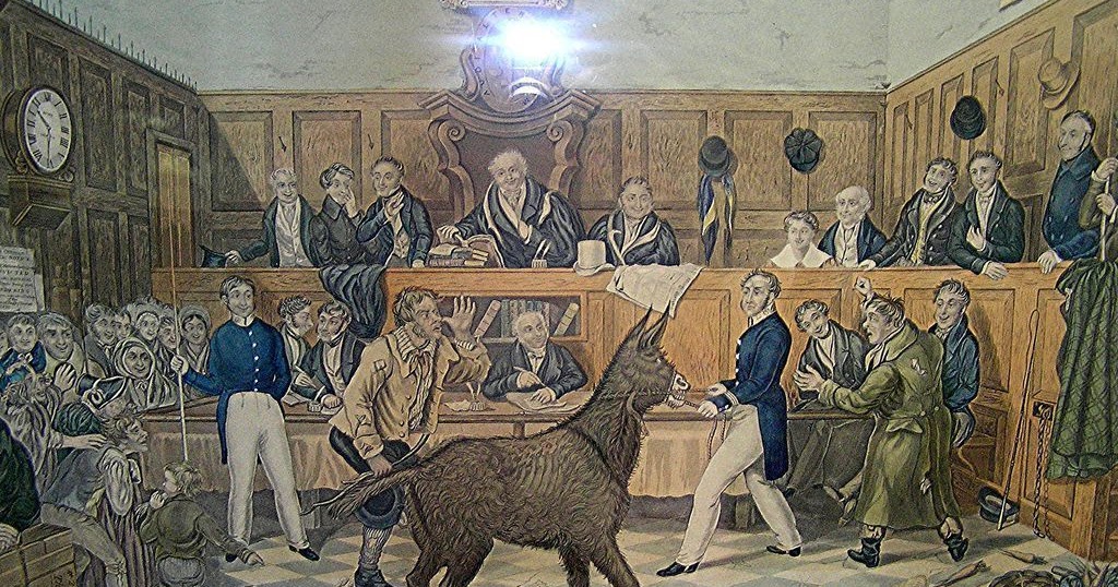 Lost Sheep: A New Zealand Crime blog: The History of Crime: Animal Trials