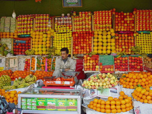 Welcome To Pakistan: Fruits and Crops