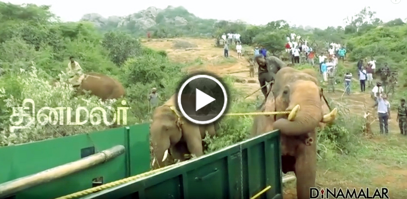 the power of nature amazing