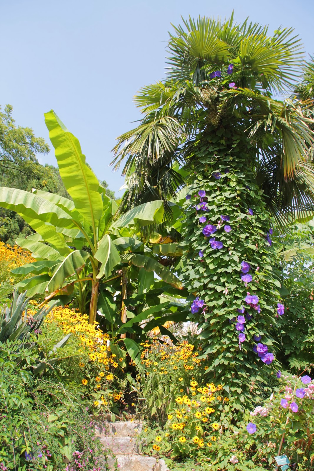 Paisatges i Jardins Landscapes and Gardens: de novembre 2013