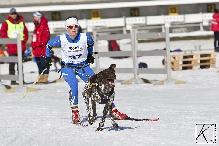 Minna Viide: Gallery