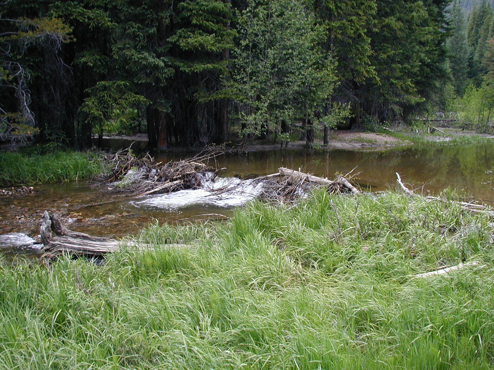 JessStryker.com: Rocky Mountain National Park, page 3