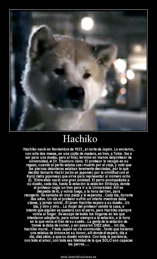 Un Mundo De Ocio: Siempre A Tu Lado Hachiko
