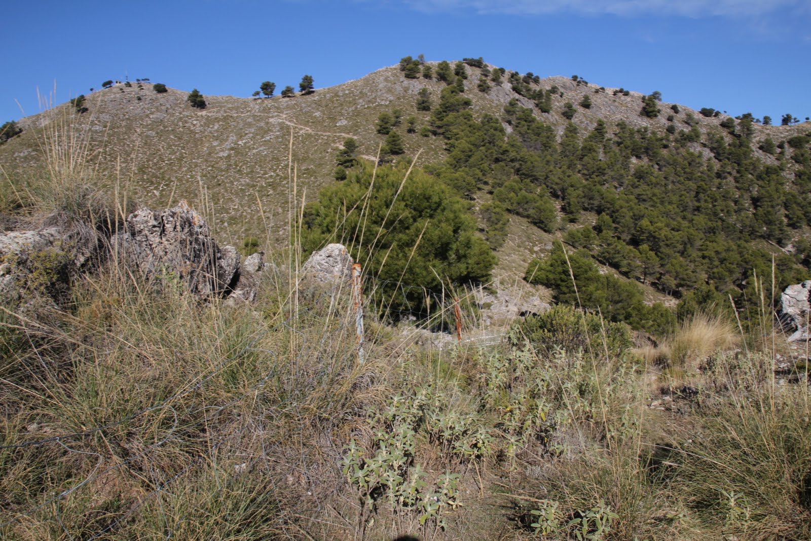 POR LAS MONTAÑAS: Subida a Sierra Alta de Rute 1328 m