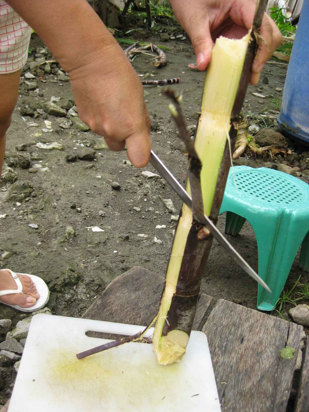 We love Our Bangladesh: Sugar cane(Aakh/Ikkhu/Gendari/Kushor) a source ...