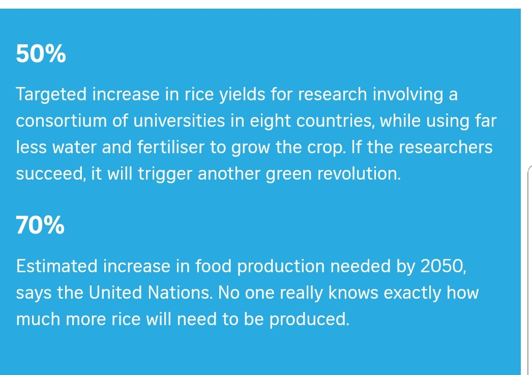Geography: Rice cultivation and climate change
