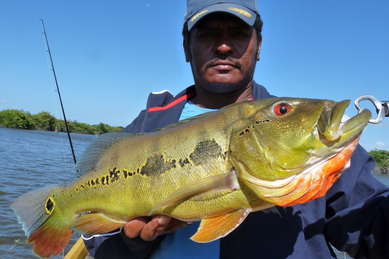 VENEZUELA FISHING