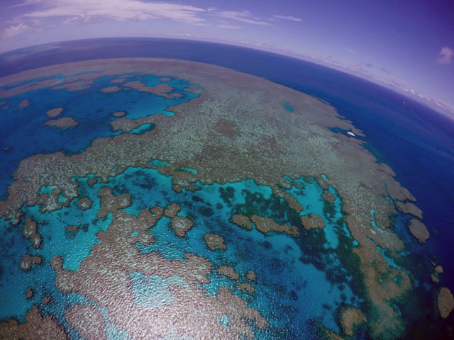 Lucey Blue: Bait Reef - Aerial images from Mariner Drone