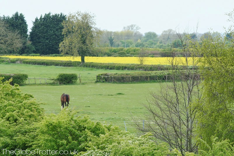 Discovering England: Tring Reservoir Walks - The Globe Trotter