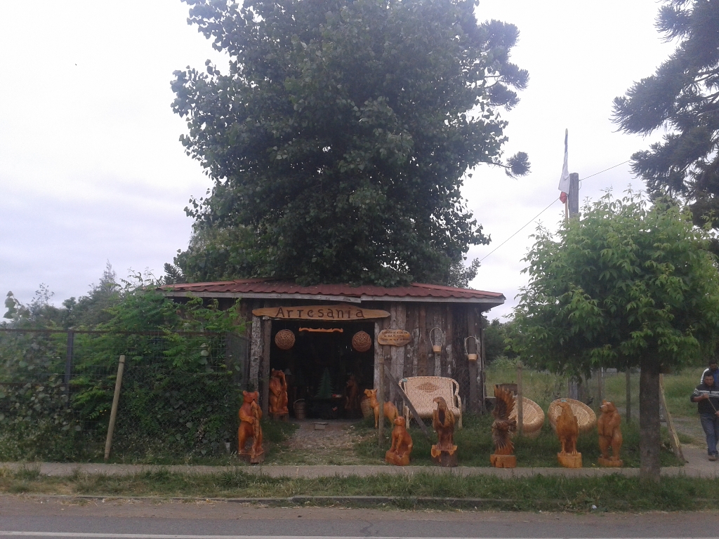 Las andanzas de Jorgito... por:: Coihueco