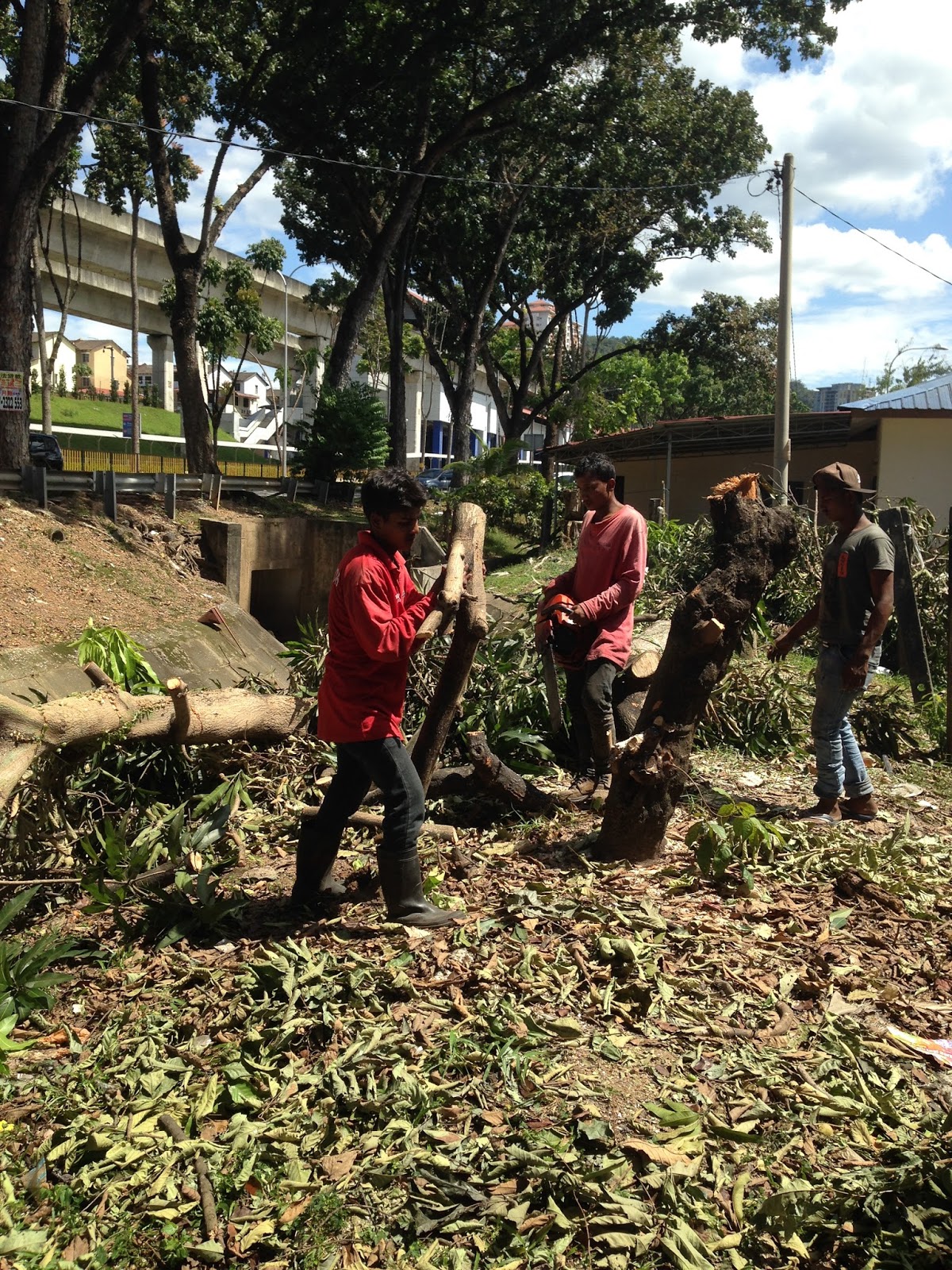 UZAYA TRADING: PERKHIDMATAN SEWA LORI RORO DAN TONG SAMPAH