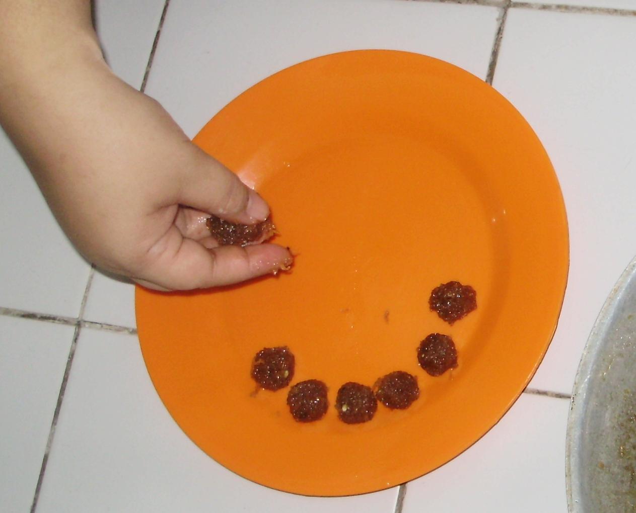 Neeja Shamiza: Puteri Dua Sebilik