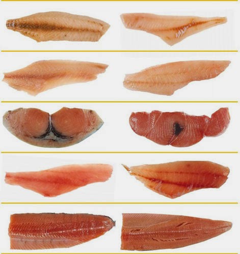 Kosher Fish Destination