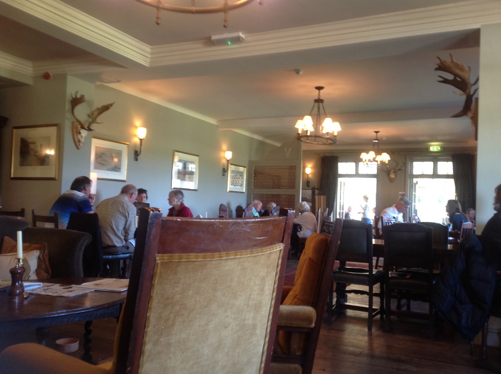Ramblings from an English Garden: Holkham Hall Village, Pub and Beech ...