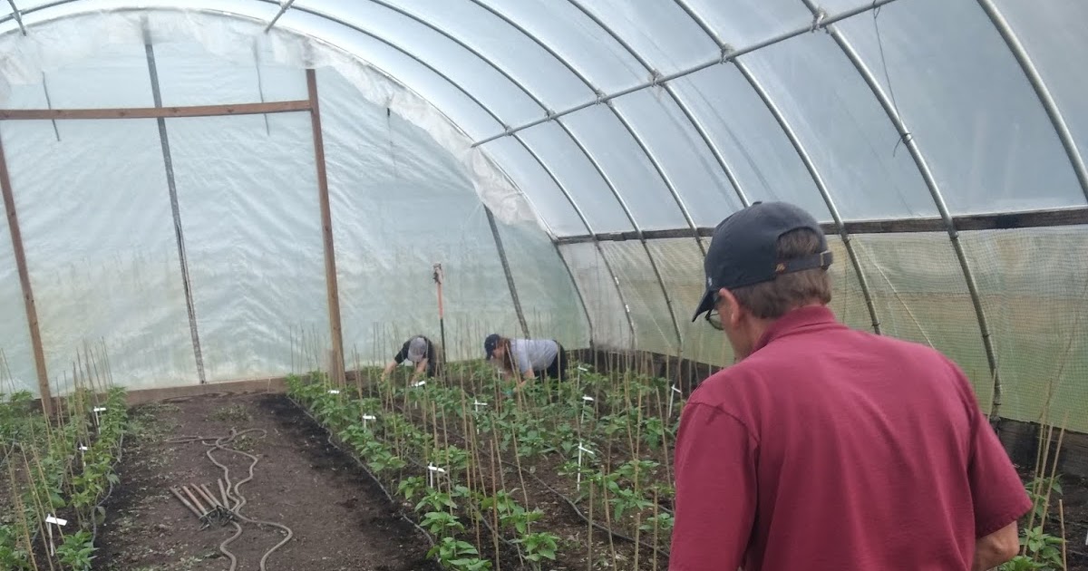 What Fruit and Vegetable Research is Happening at UMN in 2019?