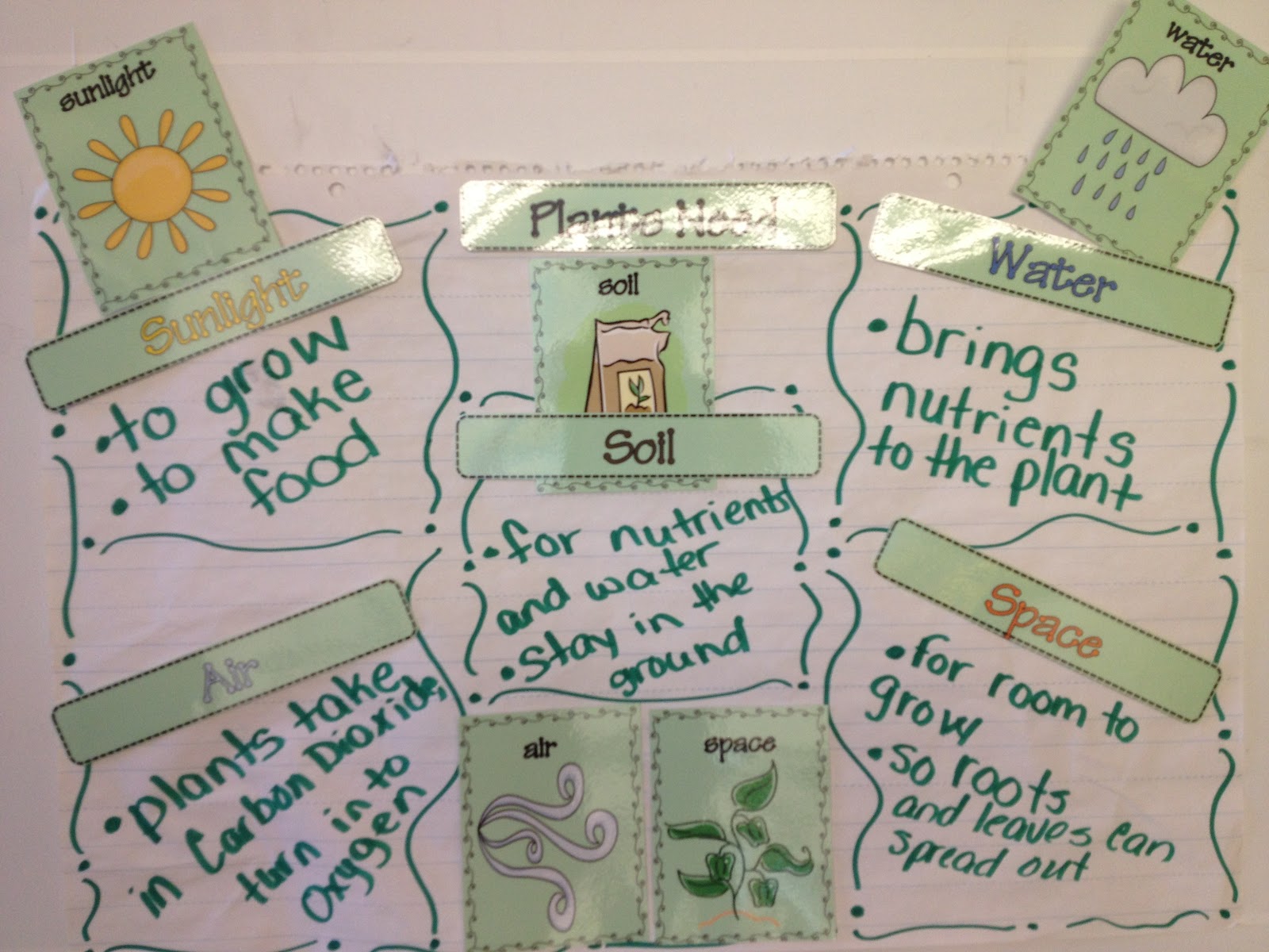 Ms. Smarty Pants : What Does Your Garden Grow? Unit Update...
