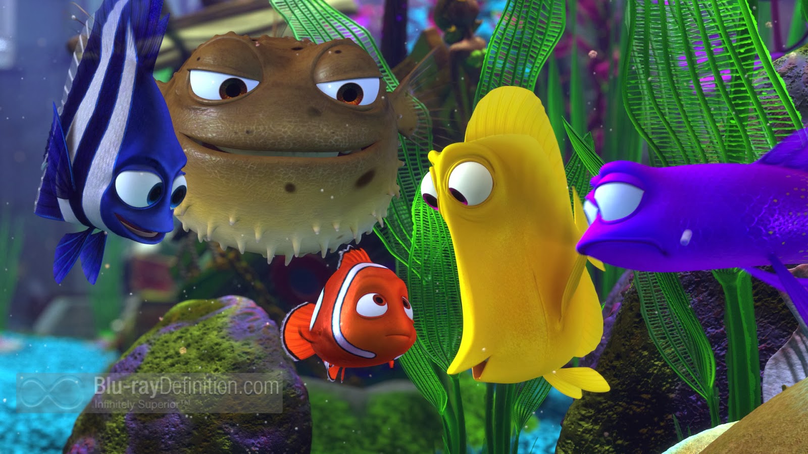 Yo me bebo tu batido: Tu blog de cine: Buscando a Nemo (2003)