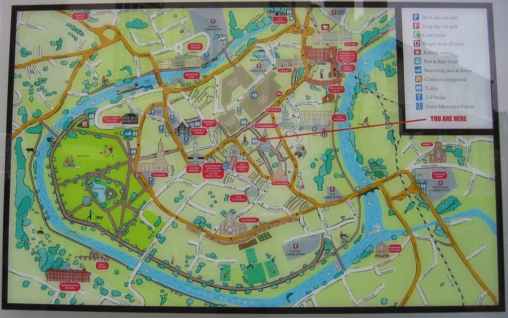 Black Tulip: Shrewsbury