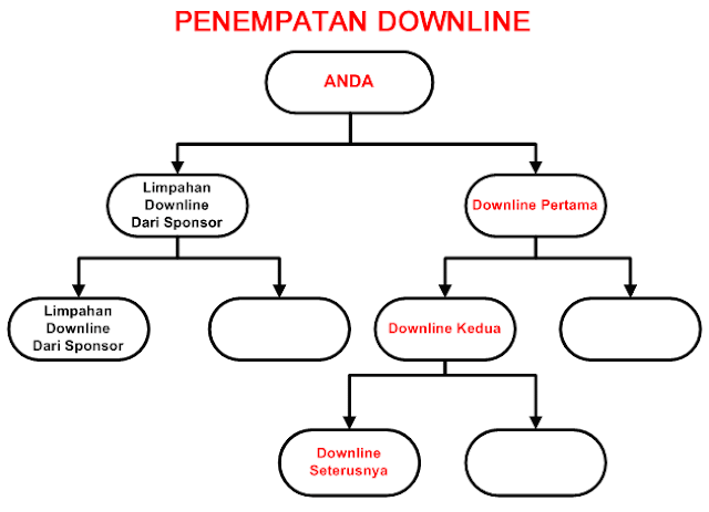 Penempatan Downline di dalam Jaringan MfcClub | PUSAT INFORMASI BISNIS ...