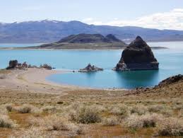 Indigenous People Prove Ancient Giants?