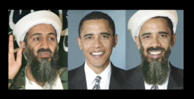 El Gato del Muro de 678 Facebook: 2011