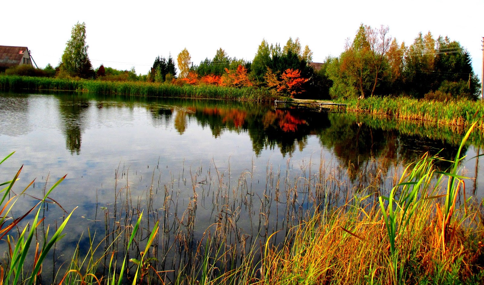 Eilės: Dunojus ir Nemunas