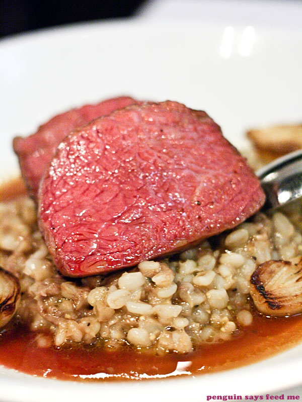 Penguin says Feed Me: Pendolino, Sydney