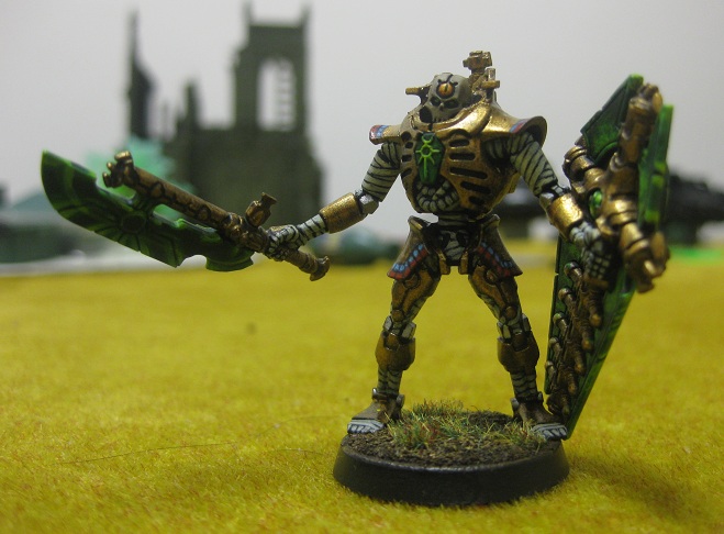 Lord AK's Skullthrone: Lychguard with Dispersion Shield : Completed