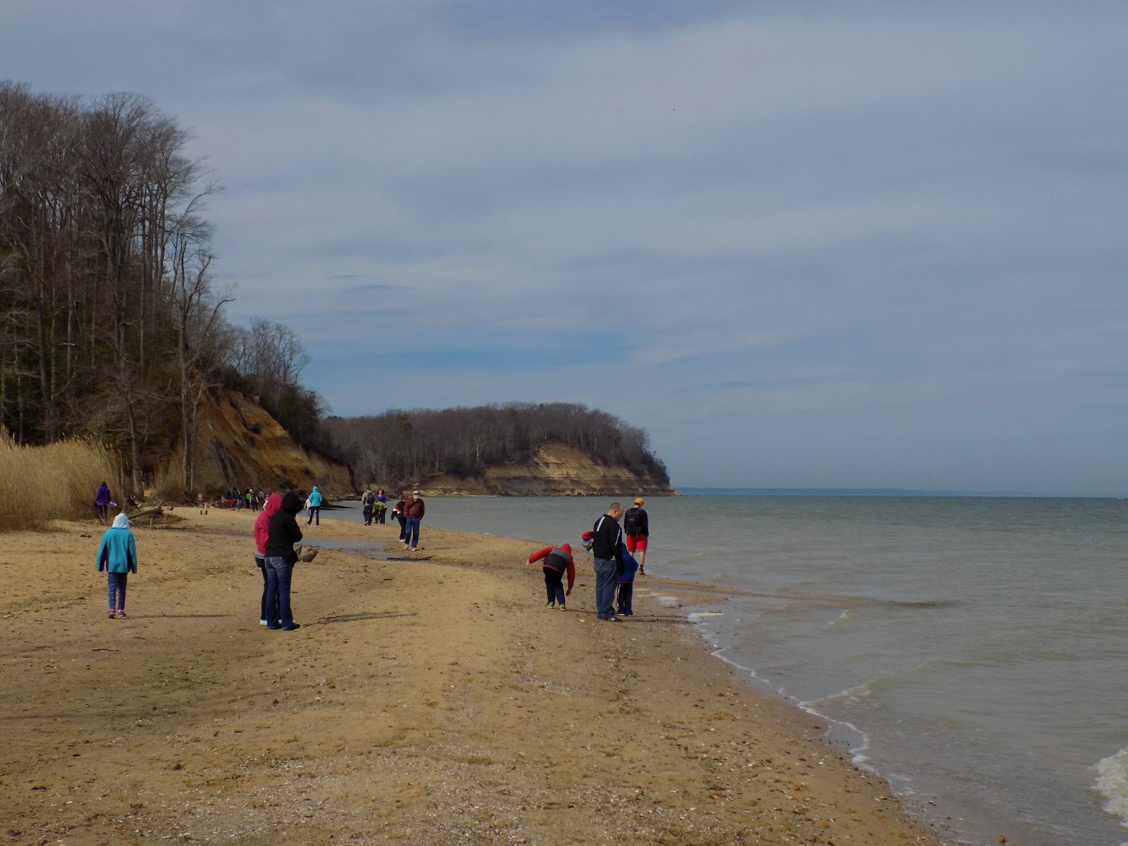 Tales From the Trails: Calvert Cliffs: Chesapeake Bay