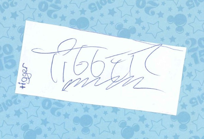 Disney character meetings and Autograph books