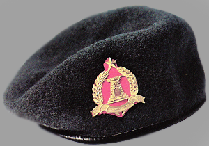 Dunia Militer Etc: Jenis baret TNI AD