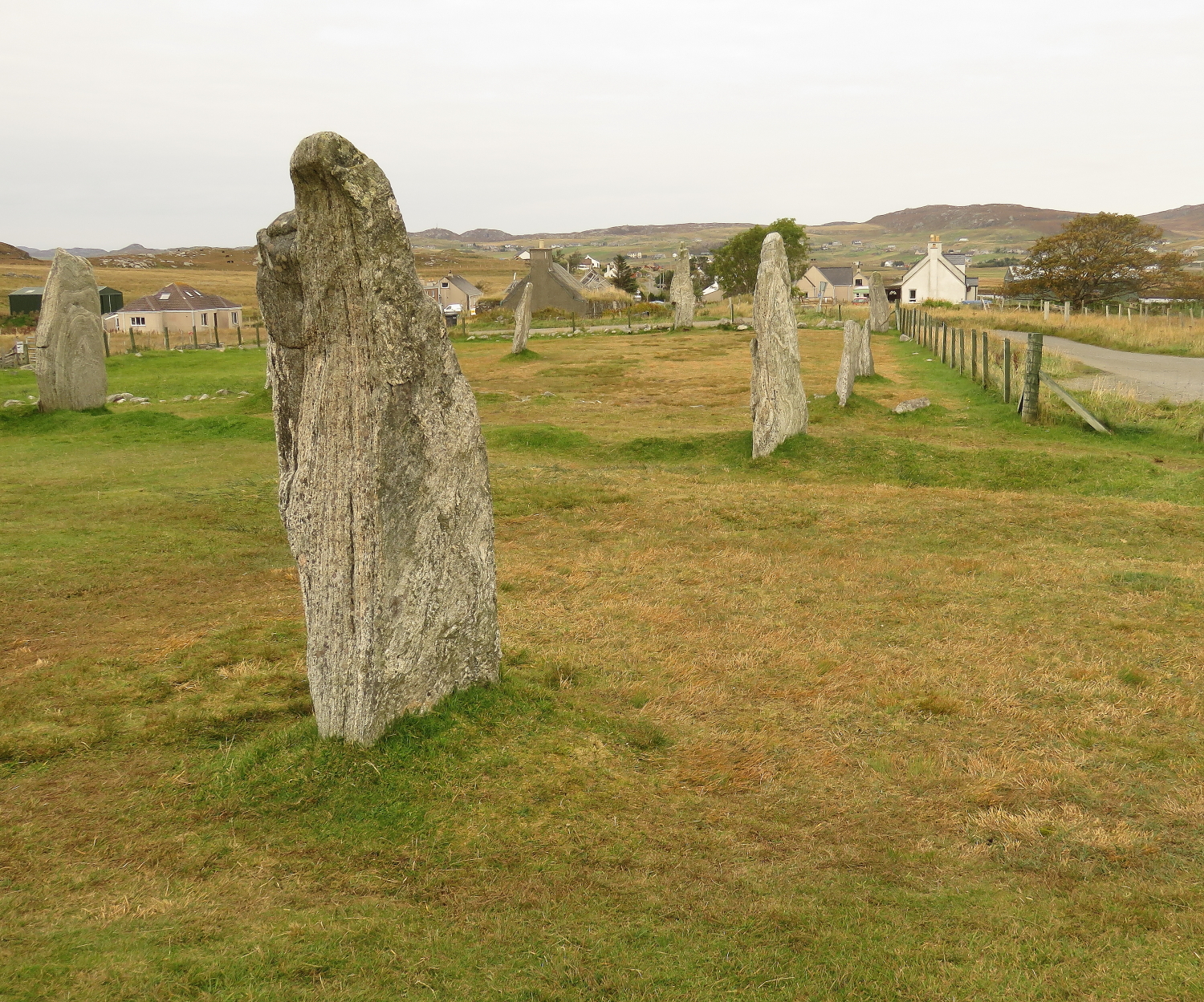 Birding Poole Harbour & Beyond: 16 Oct 15 - The Callanish Stones