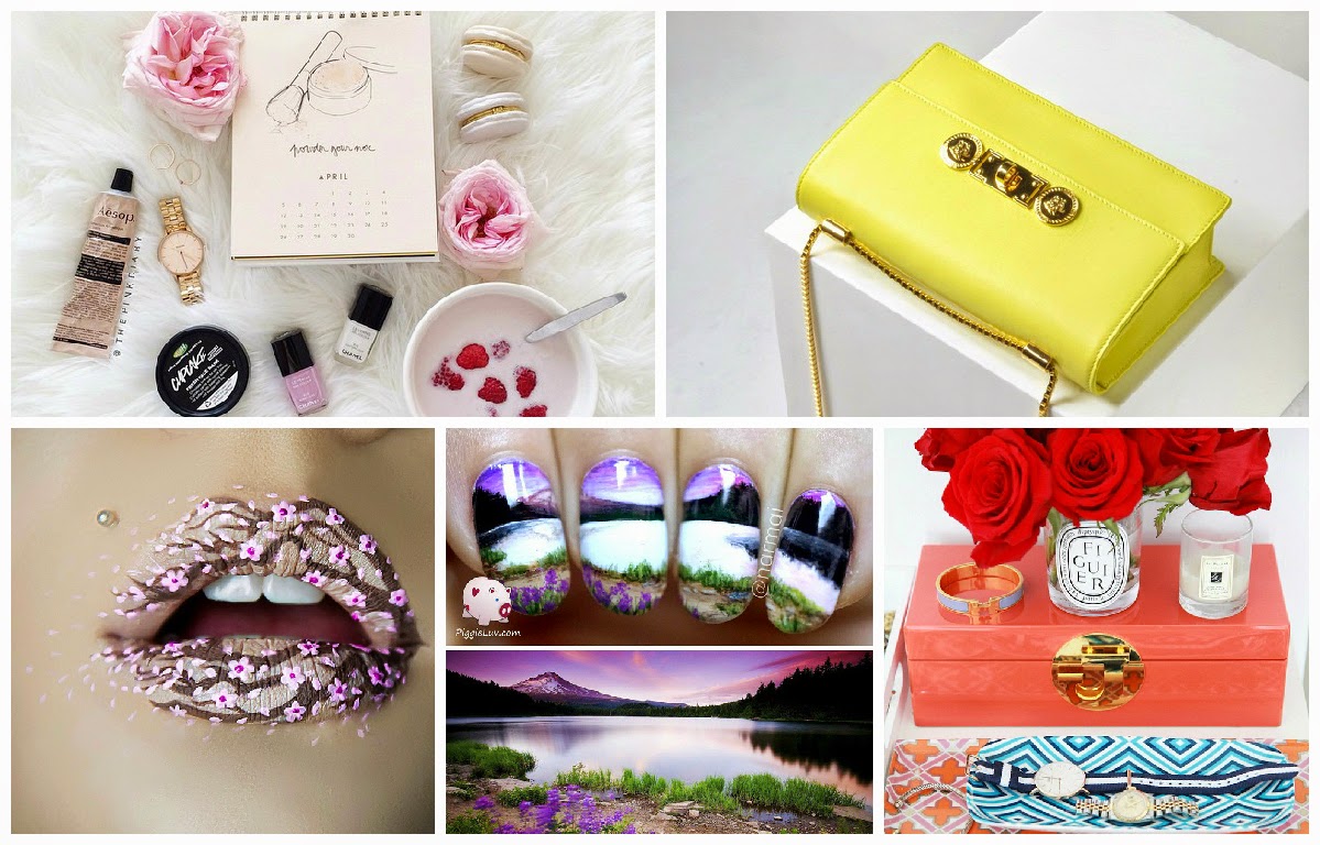 My Favorite Instagram Accounts - Sweet little Things Blog