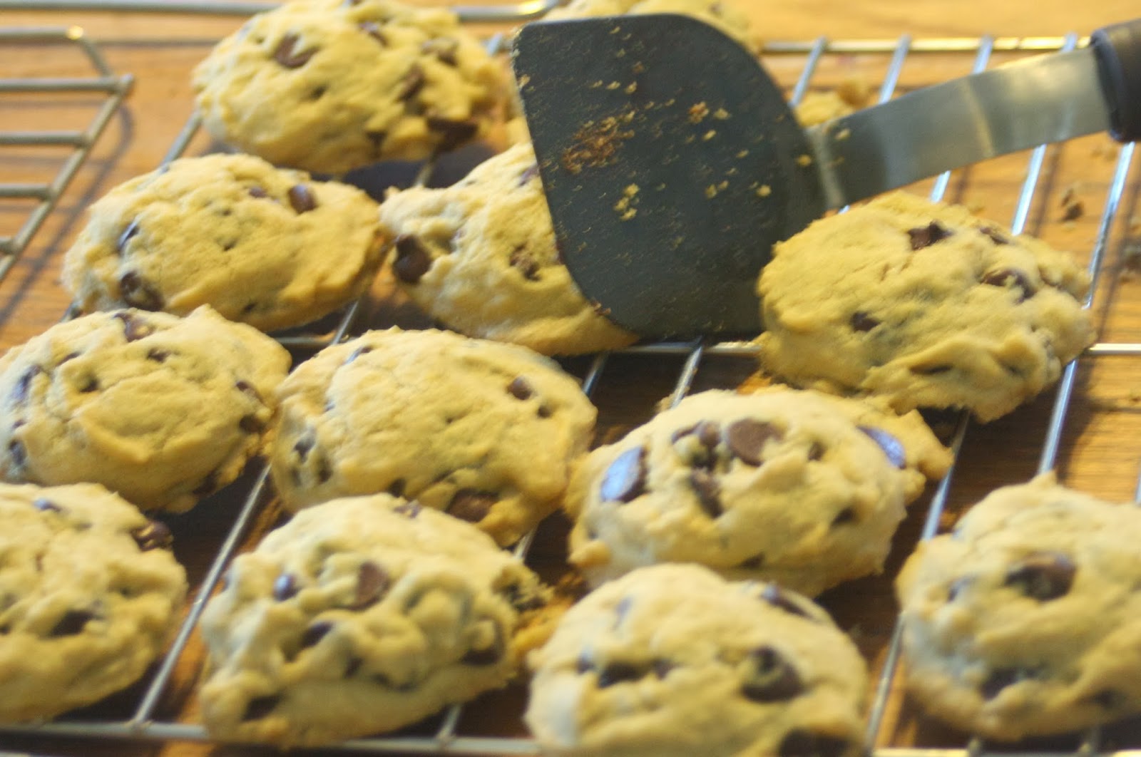 Dairy and Gluten Free Chocolate Chip Cookies - For Him and My Family